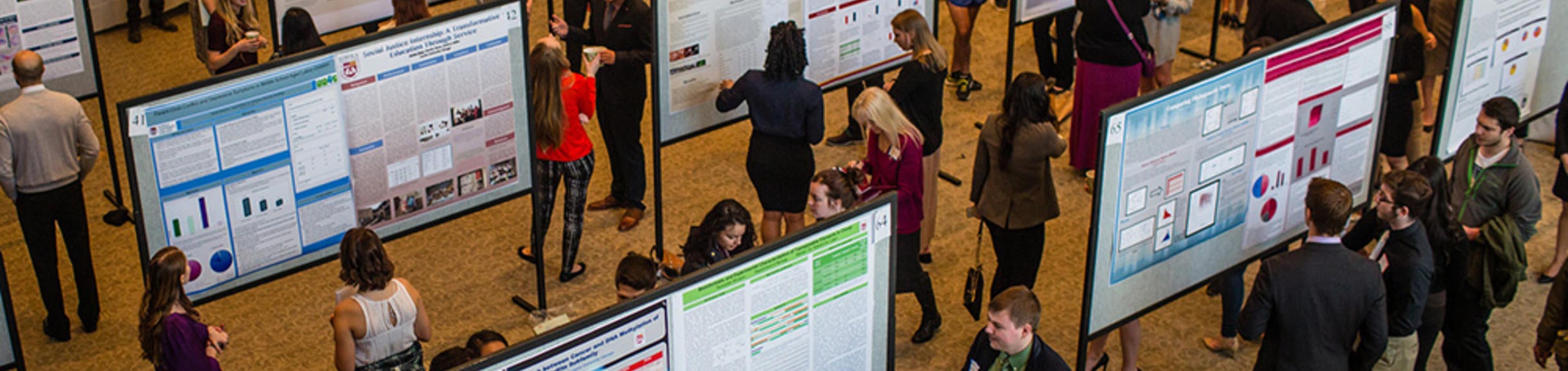 Rise Programs Research In Science Engineering Rise